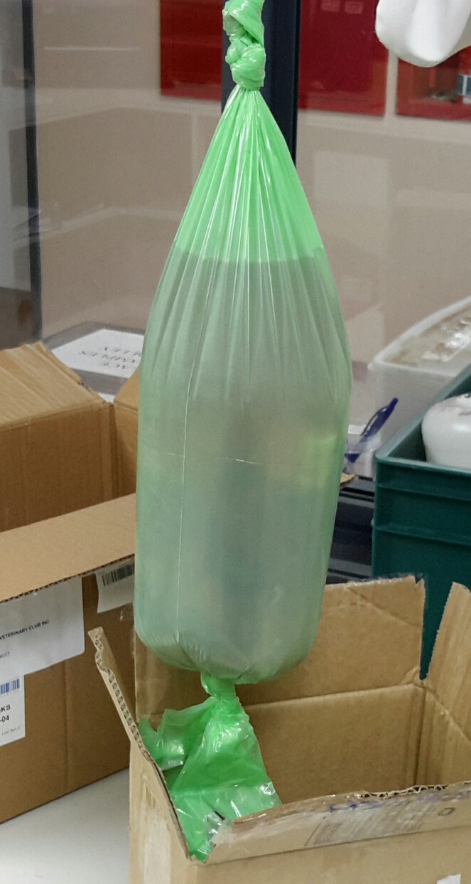 Packaging histology samples - Awanui Veterinary