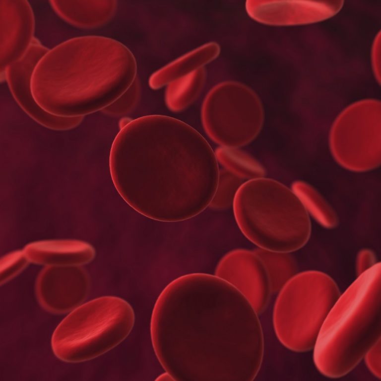 Complete Blood Count (CBC) - Awanui Veterinary