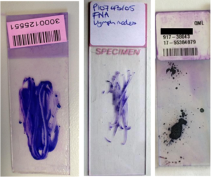 Brush up your cytology smears - Awanui Veterinary