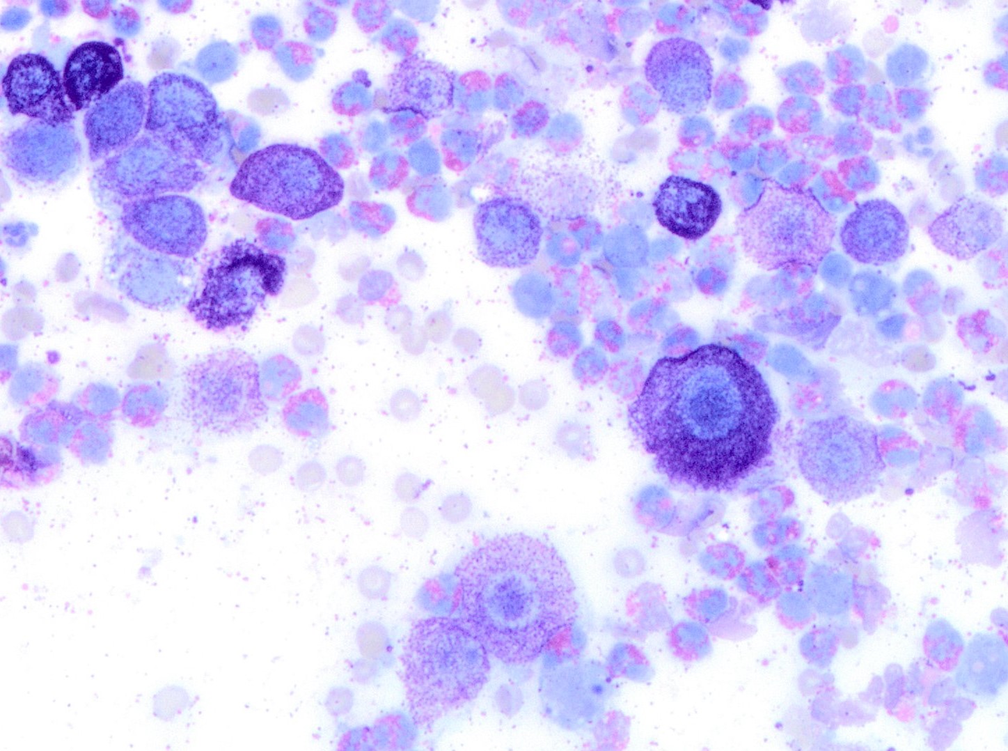 Cytologic grading of canine mast cell tumours - Awanui Veterinary